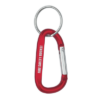 "Fire Safety Rocks!" Carabiners with Keychain Attachments